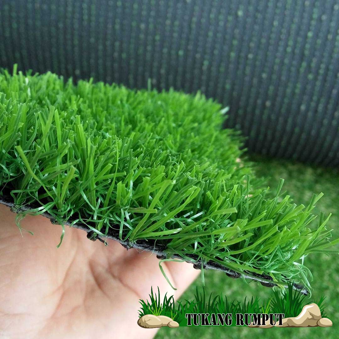 Harga Rumput Jepang Per Meter Terupdate 2021